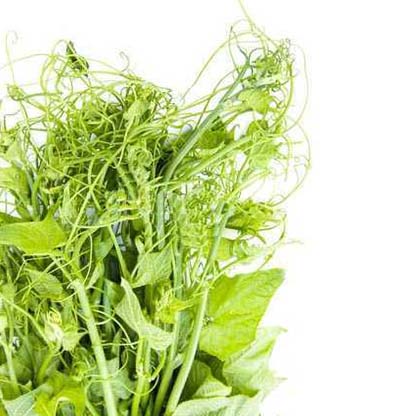 Brède chouchou 200g - Botte - GO DELIVERY