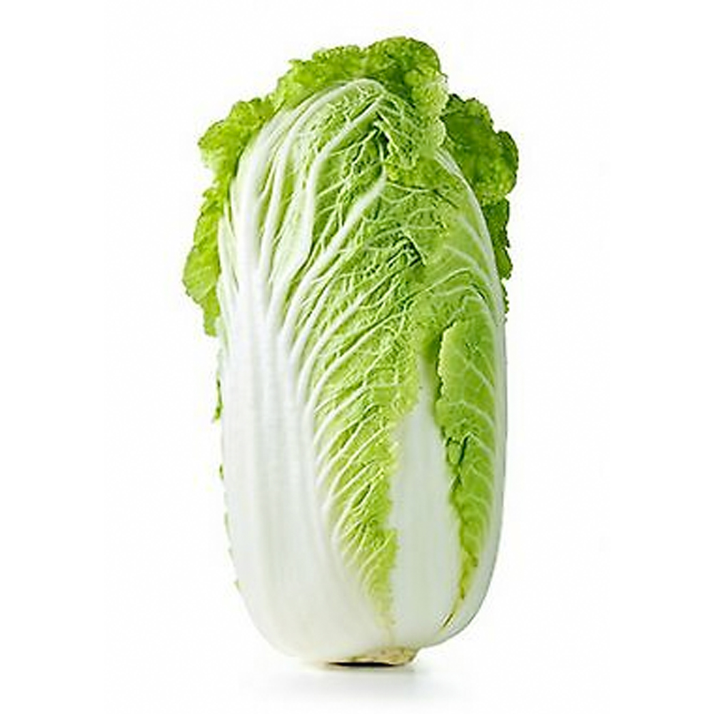 Petsai - 1 Pc - GO DELIVERY